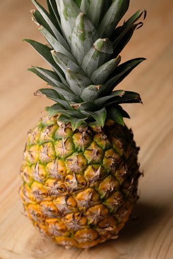 파인애플은 식용 과일과 Bromeliaceae 계통에서 가장 경제적으로 중요한 식물이있는 열대 식물입니다 아나나스 코모수스 0