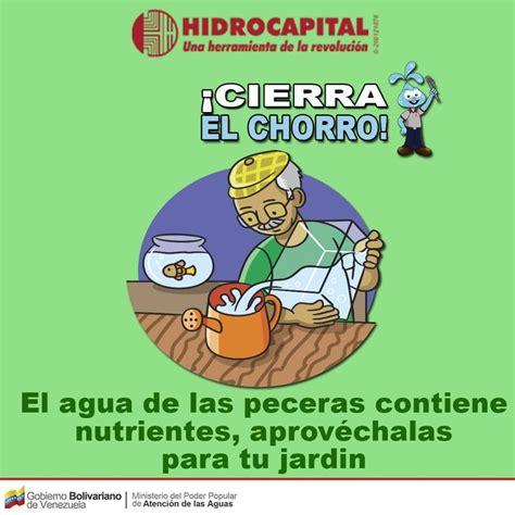 Conglomerado Productivo on Twitter 𝑴𝒂𝒔 𝑪𝒐𝒏𝒄𝒊𝒆𝒏𝒄𝒊𝒂 El agua es