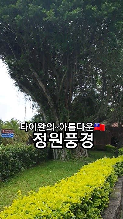 이찬원 추억의 소야곡 이찬원 미스터트롯 Youtube