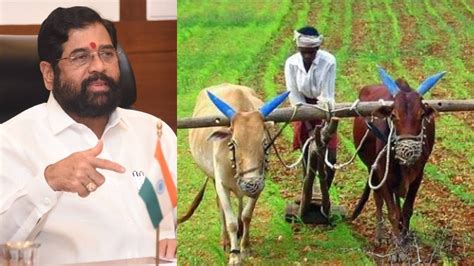 अवकाळी पावसामुळे झालेल्या पीक नुकसानीच्या भरपाईबाबत राज्य सरकारचा