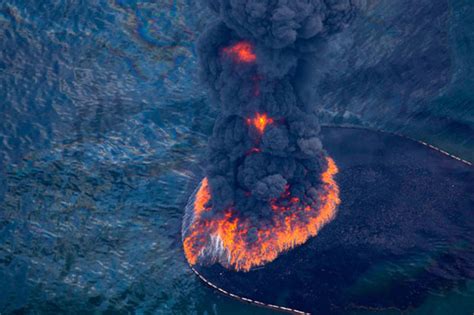 El Tigre Verde Catástrofe Ambiental Derrame de petróleo en el Golfo