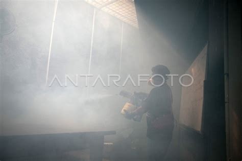 Pengasapan Nyamuk Demam Berdarah Antara Foto