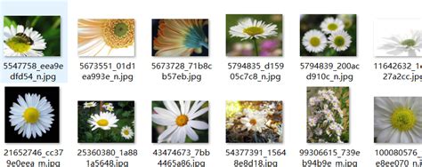Keras复现vgg16及实现花卉分类keras 复现vgg16 Csdn博客