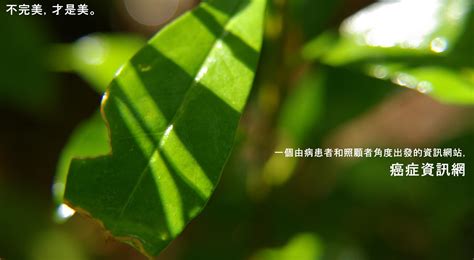 癌症資訊網 Hk Home