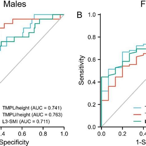 Schematic Diagram Of Measuring Ct Data Sma Skeletal Muscle Area Smi Download Scientific