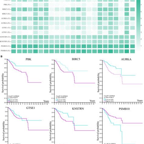 The Expression And Clinical Significance Of Hub Genes A The