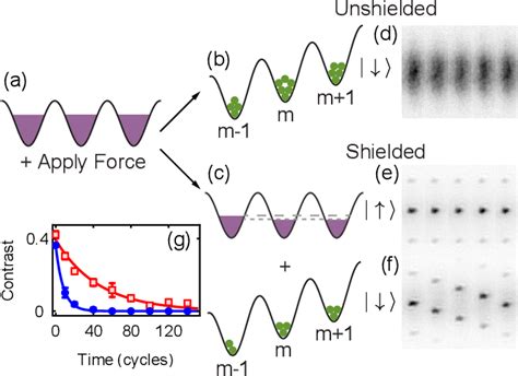 Figure 1 From Coherence Times Of Bose Einstein Condensates Beyond The