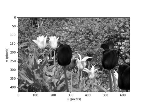 Machinevisiontoolbox Image Green Machine Vision Toolbox 1 0 Documentation