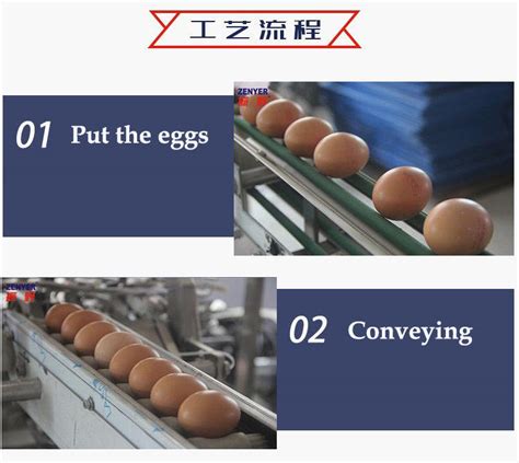 대규모 계란 노른자 계란 흰색 분리기 의 고품질 대규모 계란 노른자 계란 흰색 분리기