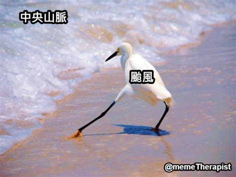 颱風 中央山脈