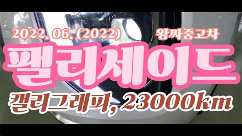 팰리세이드 캘리그래피 22 디젤 Awd 7인승 출고가격 5193만원 2만3천km 중고차추천 중고차시세 왕짜중고차
