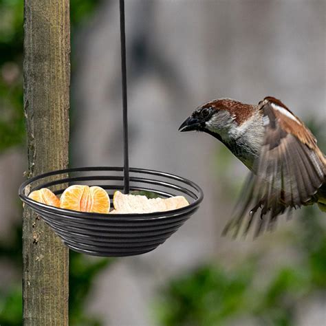 Hanging Bird Feeder Automatic Bird Feeding Tool Fo Grandado