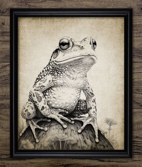 Frog Wall Art Printable Frog Amphibian Frogs Cute Frog Frog Print