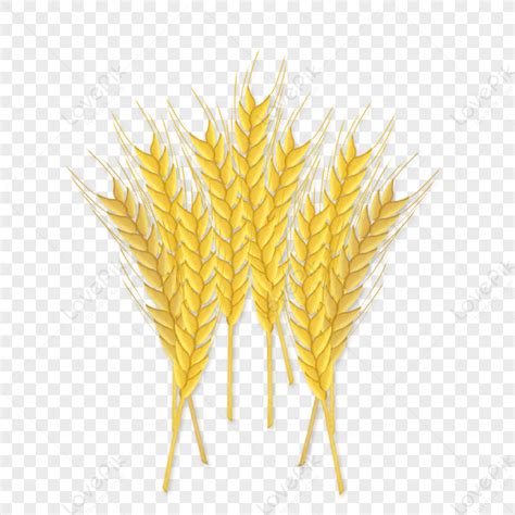 밀 귀 Png 일러스트 무료 다운로드 Lovepik