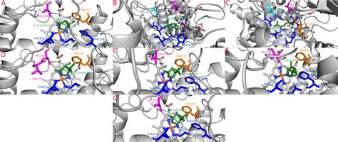 Frontiers Evolution And Functional Role Prediction Of The Cyp De And