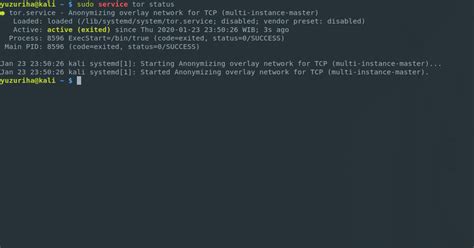 Install Tor Service Dan Browser Tor Di Kali Linux LinuxSec