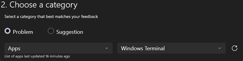 Windows Terminal Crash With Wtexe · Issue 12139 · Microsoftterminal