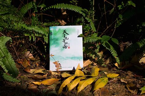 方文山《天青色等烟雨》书籍封面设计graphic Designbook Design介末jomooriginal作品 站酷zcool
