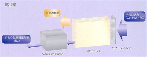 Oxycube Dolfin オキシキューブドルフィン Dreamgain