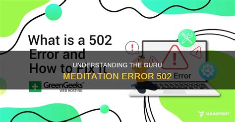Understanding The Guru Meditation Error 502 ShunSpirit