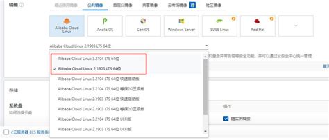 Alibaba Cloud Linux哪个版本比较稳定 云服务器