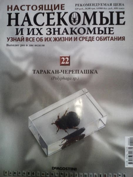 Внимательно прочитайте обьявление до конца С почтой не работаю ТОЛЬКО
