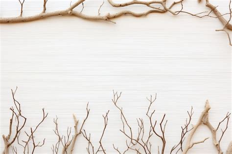 Premium Photo Dry Twigs On Wooden Background