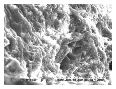 Sem Image Of Coal Gangue And Limestone A Microstructure Of Coal Download Scientific Diagram