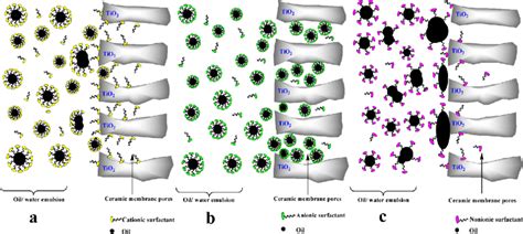 Scheme Proposed Interaction Of Three O W Emulsions With The Ceramic