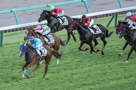 【東京本紙・外山の土曜中山12r】 日刊ゲンダイ競馬
