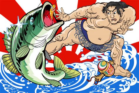 330 Ikan Kakap Hitam Ilustrasi Grafik Vektor And Clip Art Bebas