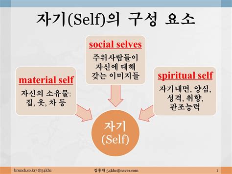 자기 개념과 자기 개념의 다면성