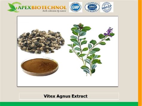 Apex Biotechnol Vitex Agnus Extract Grade Food Grade At Rs 2000 In
