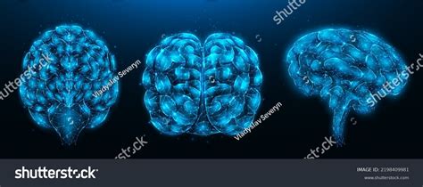 Polygonal Vector Illustration Human Brain On Stock Vector Royalty Free
