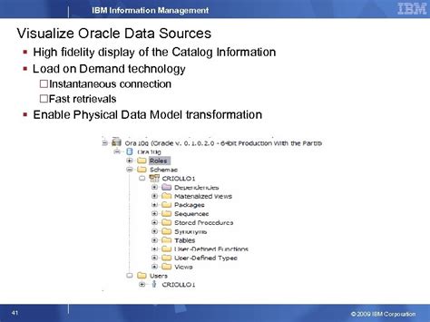 IBM Information Management Integrated Data Management Vision And