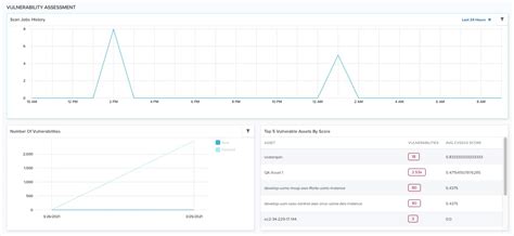 Vulnerability Assessment Section Inside The Executive Dashboard