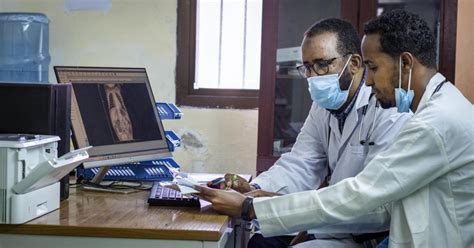 Focus Sectors Iom Somalia