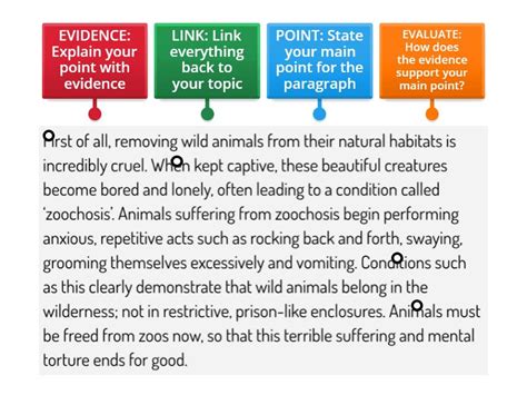 Peel Paragraph Structure Labelled Diagram