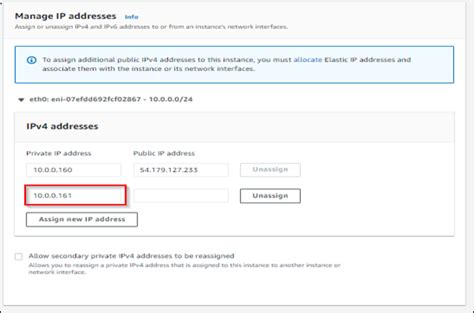 Connect Multiple Public IPs To A Single Amazon EC2 Server CloudThat