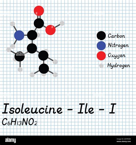 Isoleucine Ile I Amino Acid Molecular Formula And Chemical