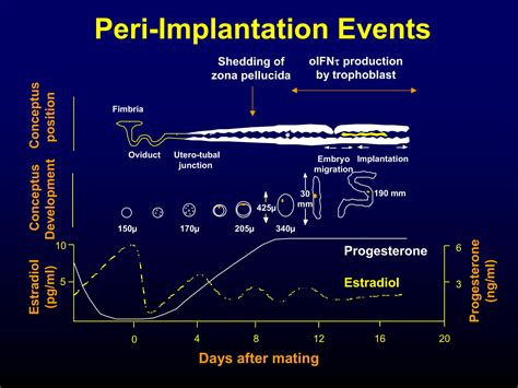 Fetal To Neonatal Transition Extrauterine Ppt