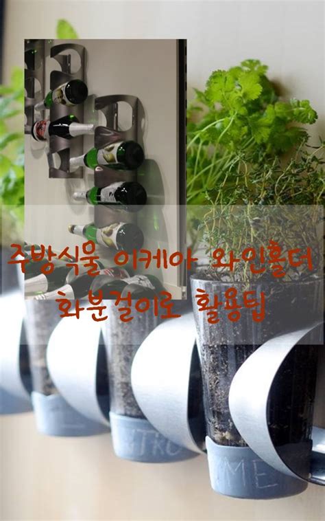 주방식물 허브 이케아 와인홀더 로 화분걸이 재활용품만들기 네이버 블로그