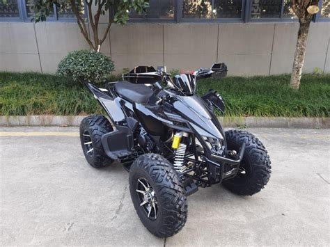 ᐉ Квадроцикл ATV SPORTY 250 по цене 170900 руб., с доставкой! | Цены ...