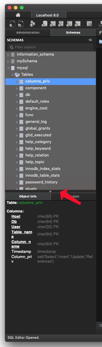 mysql workbench left navigator panel missing on mac stack overflow
