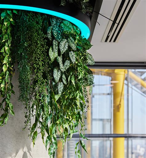 Creating Milltechs Workspace For A Hybrid Fintech Future Peldon Rose