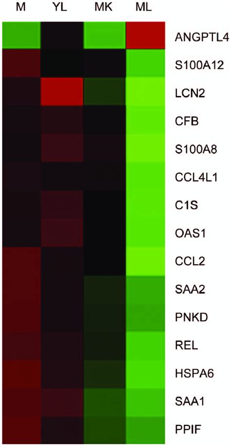 Microarray Heat Map Of Immunity Defence Genes Regulated Specifically In Download Scientific