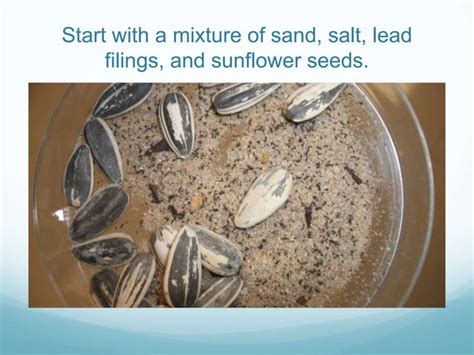 Lab Mixture Separation PPTX