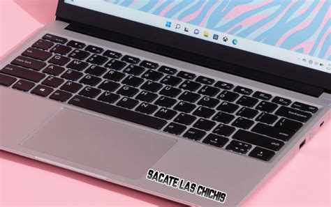 Sacate Las Chichis Decal Car Window Laptop Vinyl Sticker Mexico Etsy