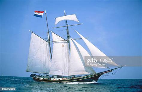 Meindert Photos And Premium High Res Pictures Getty Images