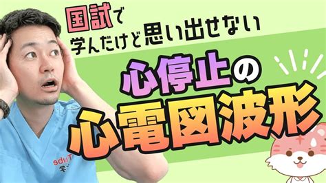 【身に付く国試】心停止の心電図波形 看護師国家試験 Youtube